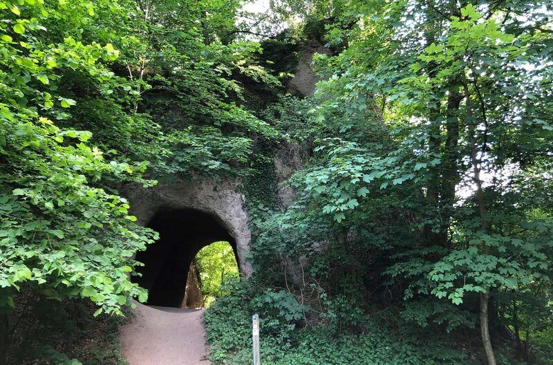 Traumziele 50: Traumwege – Wanderungen von der Saar bis an den Rhein ...