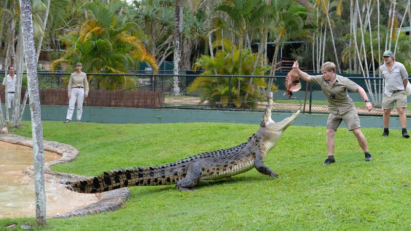 Die Irwins – Crocodile Hunter Family S04E05: Giftzwerge (Tiny but ...
