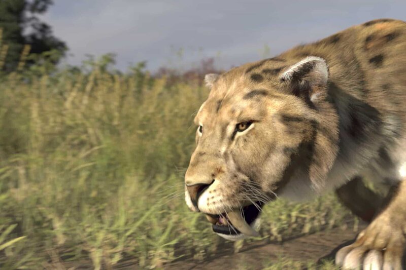 Rückkehr Der Urzeit Giganten 03 Der Säbelzahntiger Fernsehserien De