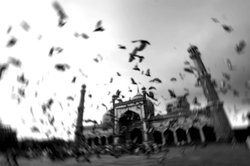 Jäger der verborgenen Wahrheit – mit Josh Gates S02E13: Die Monster von ...