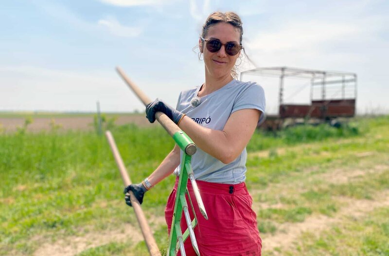 ARTE Re: 1148: Der Acker wird zur Goldgrube – Reiche Ernte auf ...