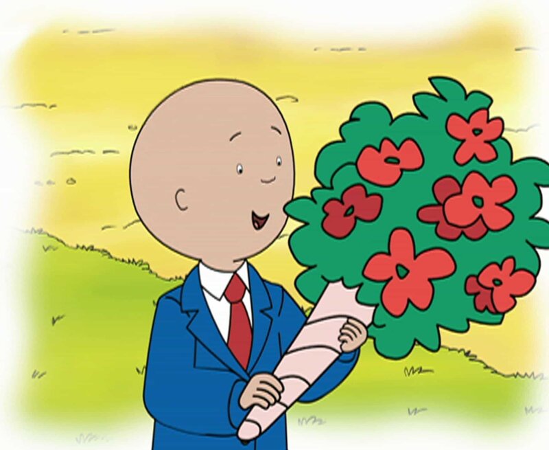 Caillou S02E16a: Kapitän Caillou (Captain Caillou) – fernsehserien.de
