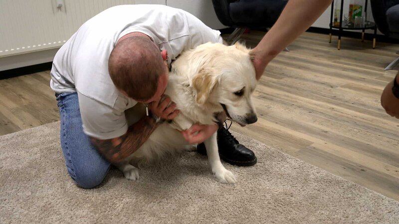 Der Knochenknacker – Tierisch verrenkt Staffel 1 Episodenguide – fernsehserien.de