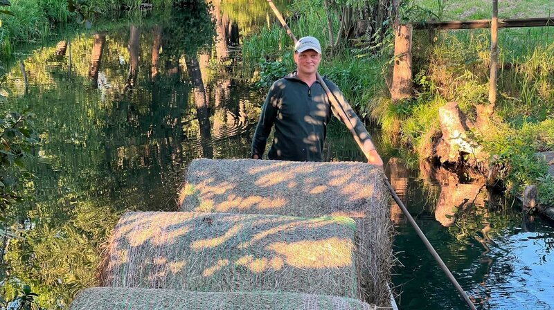 Hofgeschichten S02E09: Kälbergeburt kurz vor dem Urlaub – fernsehserien.de