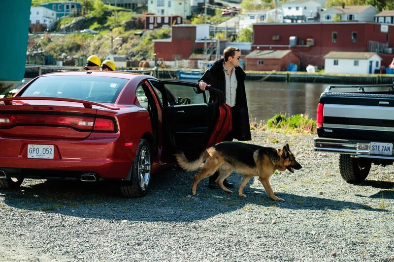 Hudson & Rex S05E03: Lauf, Donovan, Lauf (Run, Donovan, Run ...