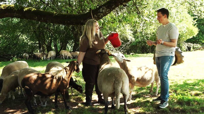 Martin Rütters Tierheimhelden S01E04: Wildtierstation TIERART ...