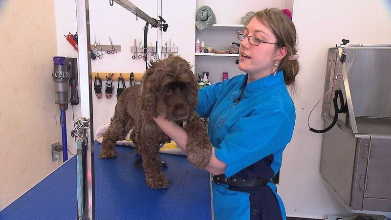 Die Hundefriseure S01E06: Zucht und Ordnung – fernsehserien.de