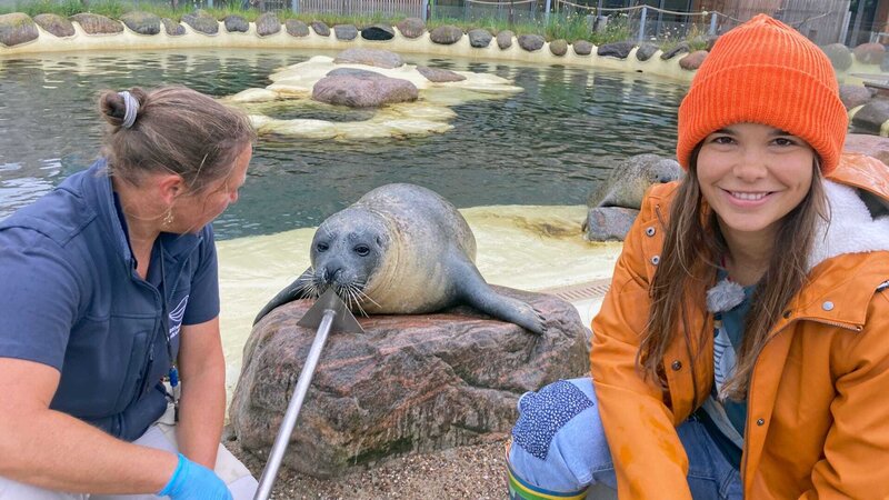Anna und die wilde Hilde Anna und die wilde Hilde – fernsehserien.de