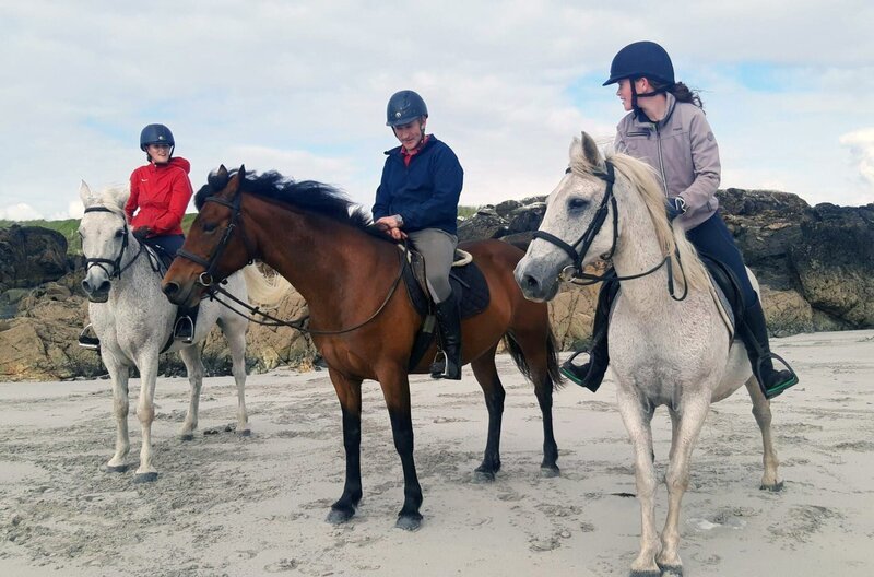 ARTE 360° Reportage 633: Connemara: Wie das Land, so das Pony ...