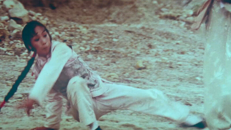 Kung Fu Zombie – fernsehserien.de