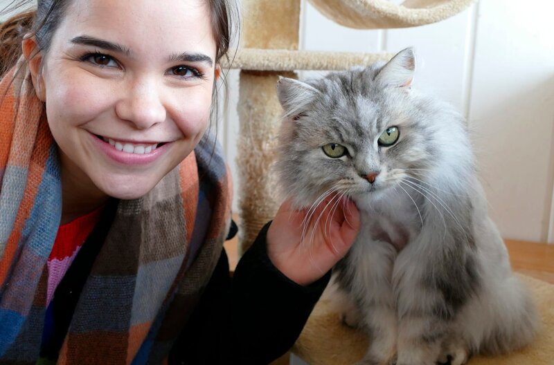 Anna und die Haustiere 61: Tierheimkatze – fernsehserien.de