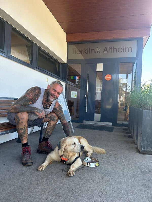 Harte Hunde – Ralf Seeger greift ein S09E03: Tierheim Königswiese ...