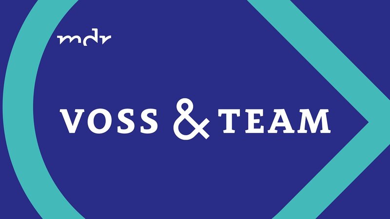 Voss & Team 131: Folge 131 – fernsehserien.de