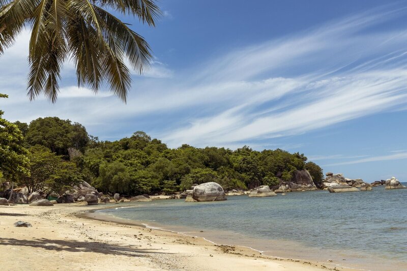 Reality Backpackers Staffel 1 Episodenguide – fernsehserien.de