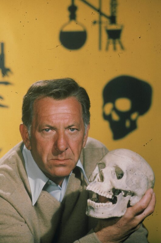 Quincy Staffel 7 Episodenguide – fernsehserien.de