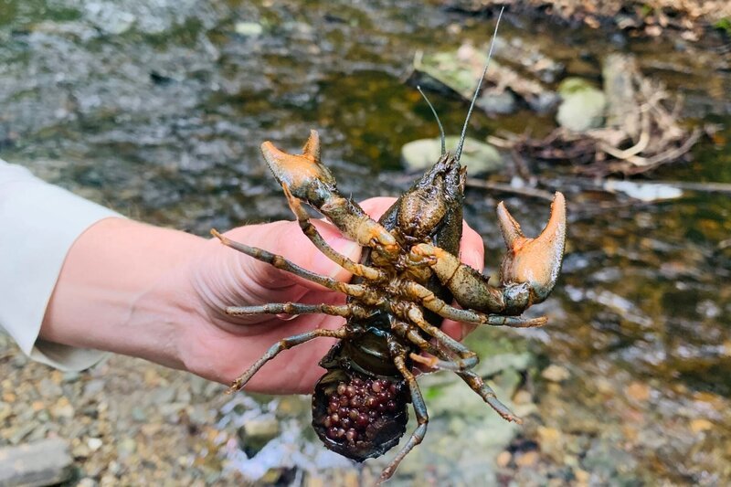 P.M. Wissen S01E183: Folge 183 – fernsehserien.de