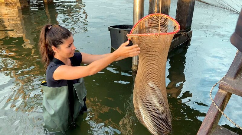 Köstliches Sardinien – fernsehserien.de
