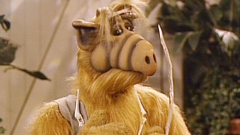 ALF S04E22: Die Wolfshungerdiät (Hungry Like The Wolf) – fernsehserien.de
