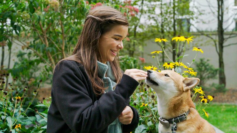 Anna und die Haustiere 111: Shiba – fernsehserien.de