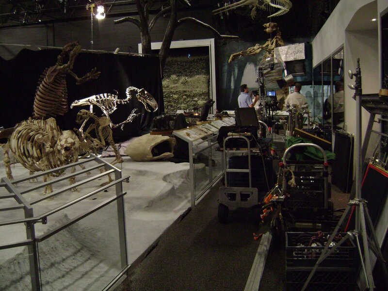 Prähistorische Raubtiere 02: Der Terrorvogel (Terror Raptor ...