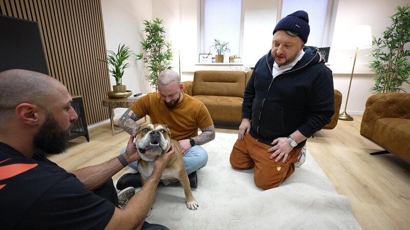 Der Knochenknacker – Tierisch verrenkt Staffel 2 Episodenguide – fernsehserien.de