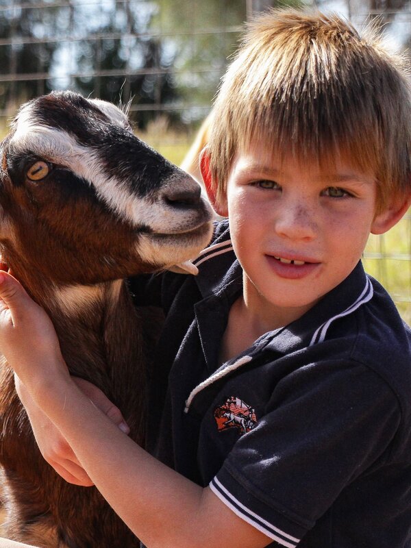 Outback Farm Staffel 1 Episodenguide – fernsehserien.de