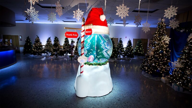 Die Aquarium-Profis S03E19: DMAX-Folge 39 (Tanked For The Holidays ...