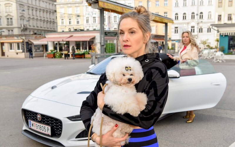 Vorstadtweiber S06E07: Folge 57 – fernsehserien.de