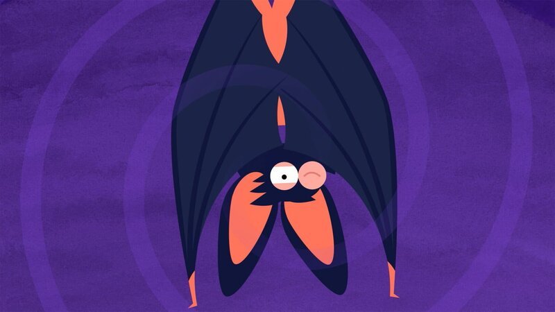 Superhelden der Natur S01E11: Die Fledermaus – fernsehserien.de