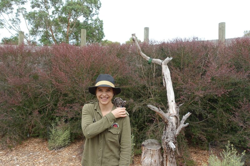 Anna und die wilden Tiere 70: Sammy, der coole Gleitbeutler ...