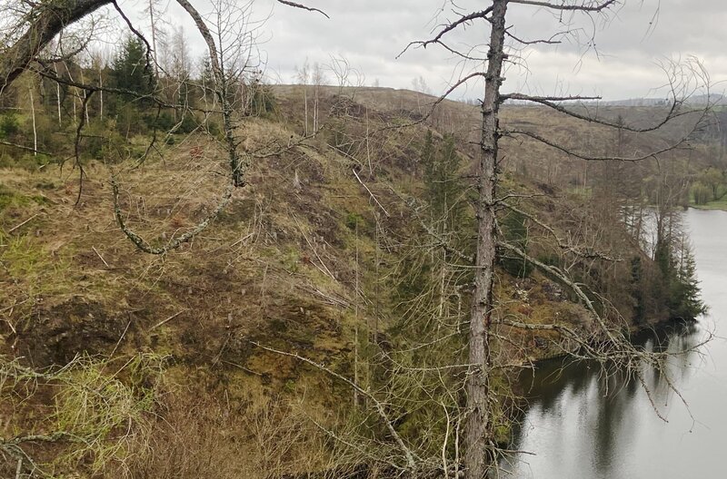 Der Osten – Entdecke wo du lebst 468: Toter Wald, blaues Gold. Die ...