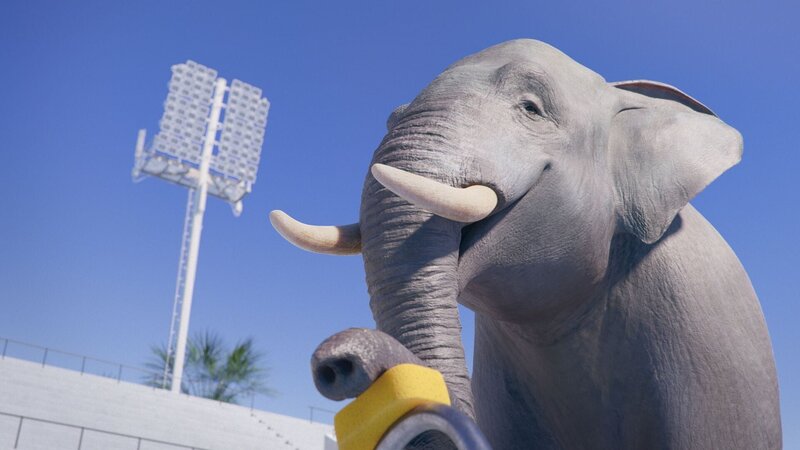 Athleticus Staffel 4 Episodenguide (Seite 2) – fernsehserien.de