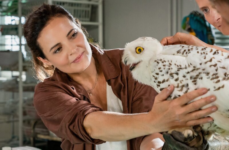 Schne Tierrztin Dr Mertens Letzte Folge Bild