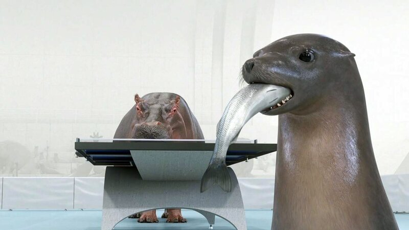 Athleticus Staffel 1 Episodenguide – fernsehserien.de