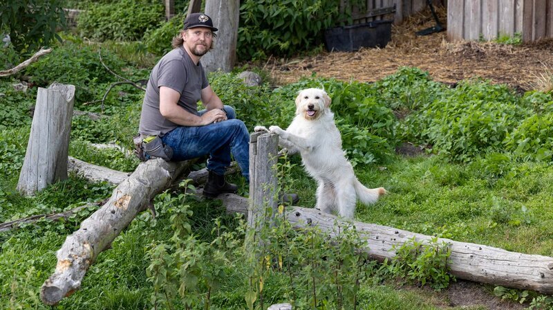 Nord bei Nordwest 18: Wilde Hunde – fernsehserien.de