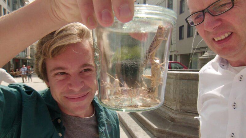 Checker Tobi 57: Der Ekel-Check – fernsehserien.de