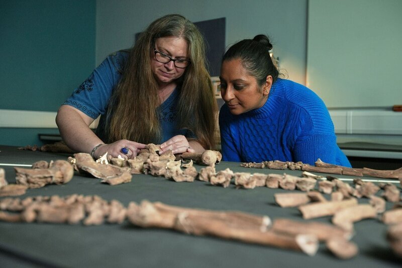 Der Schwarze Tod – Eine tödliche Pandemie Dokumentation in 2 Teilen ...