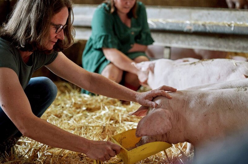 Lecker aufs Land – eine kulinarische Reise S16E06: Zu Gast bei Barbara ...