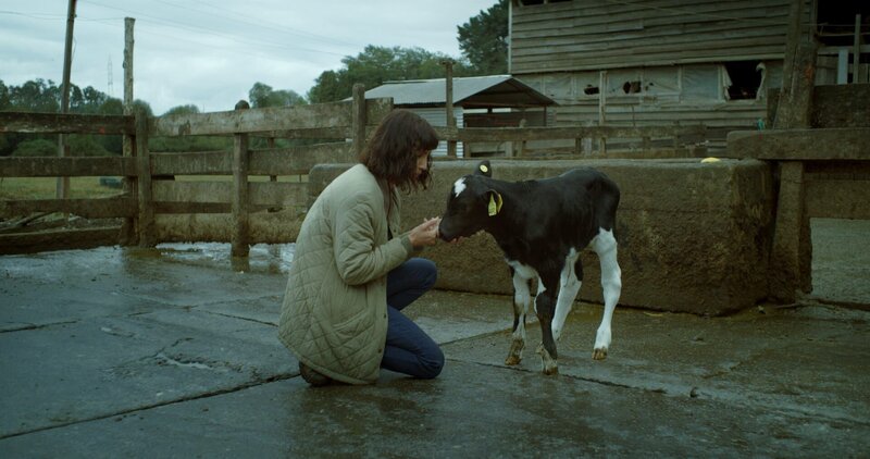 Das kleine Fernsehspiel Die Kuh, die die Zukunft besang – fernsehserien.de