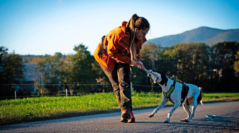 plan b (2017) 265: Tierische Invasoren auf dem Vormarsch: Der Kampf gegen eingeschleppte Arten ...