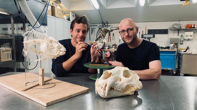 Checker Tobi 153: Der Knochen-Check – fernsehserien.de