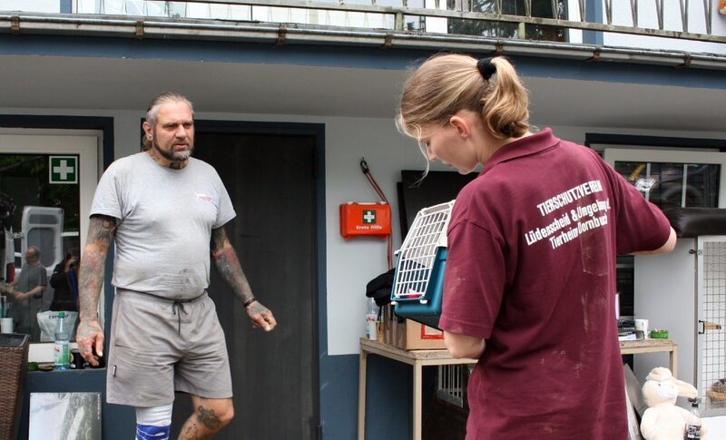 Harte Hunde – Ralf Seeger greift ein Staffel 2 Episodenguide ...