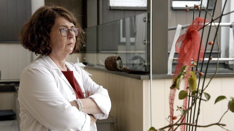 FeierAbend 365: Allerseelen – fernsehserien.de