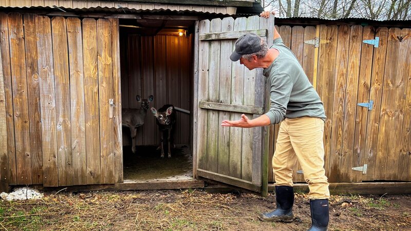 Dirty Jobs – Arbeit, die keiner machen will S09E12: Der Hirschurin ...