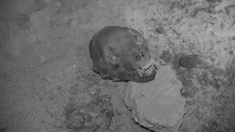 Die Monster-Jäger – Bestien auf der Spur S01E12: Das Schafsbiest von ...