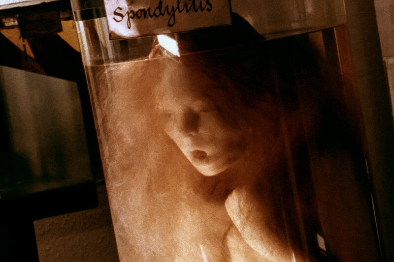 Geister S03E02: Der Kongress tanzt (Kongressen danser) – fernsehserien.de