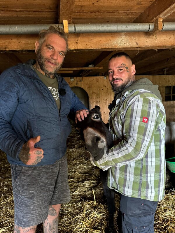 Harte Hunde – Ralf Seeger greift ein bisher 5 Folgen (Die ...
