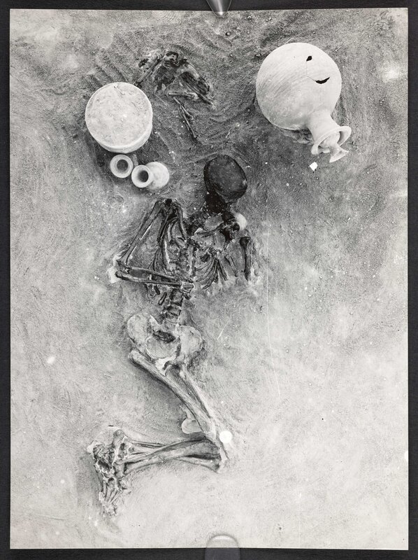 The UnXplained mit William Shatner Staffel 7 Episodenguide ...