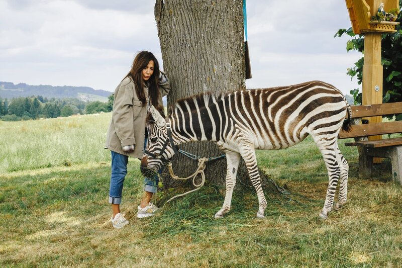Frühling S13E01: Ein Zebra im Gepäck – fernsehserien.de