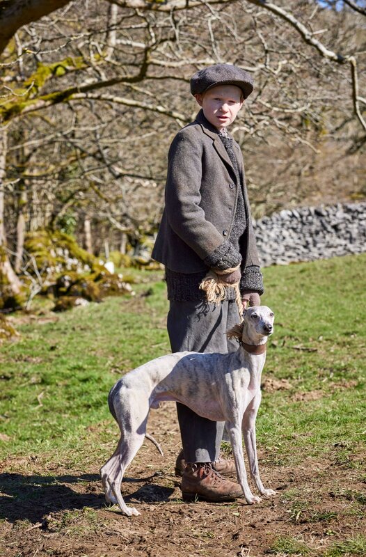 Der Doktor und das liebe Vieh (2020) Staffel 4 Episodenguide ...